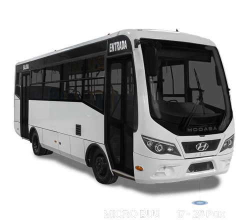 Hyundai Microbus